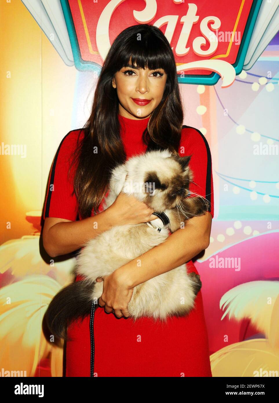 Hannah Simone with Wilee Coyote Super Genius a Himalayan long hair cat ...