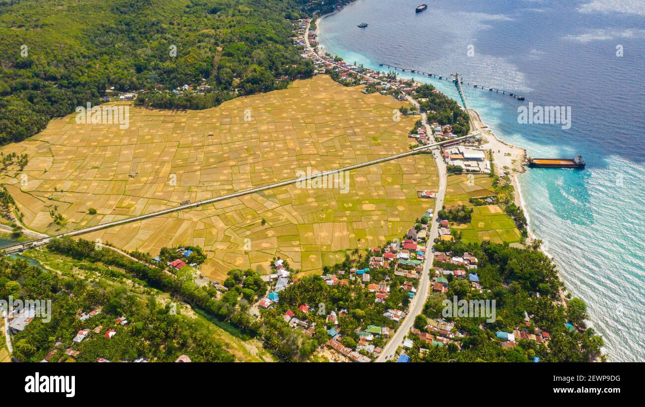 Farming and growing plants in rural areas of Bohol, Philippines Stock ...