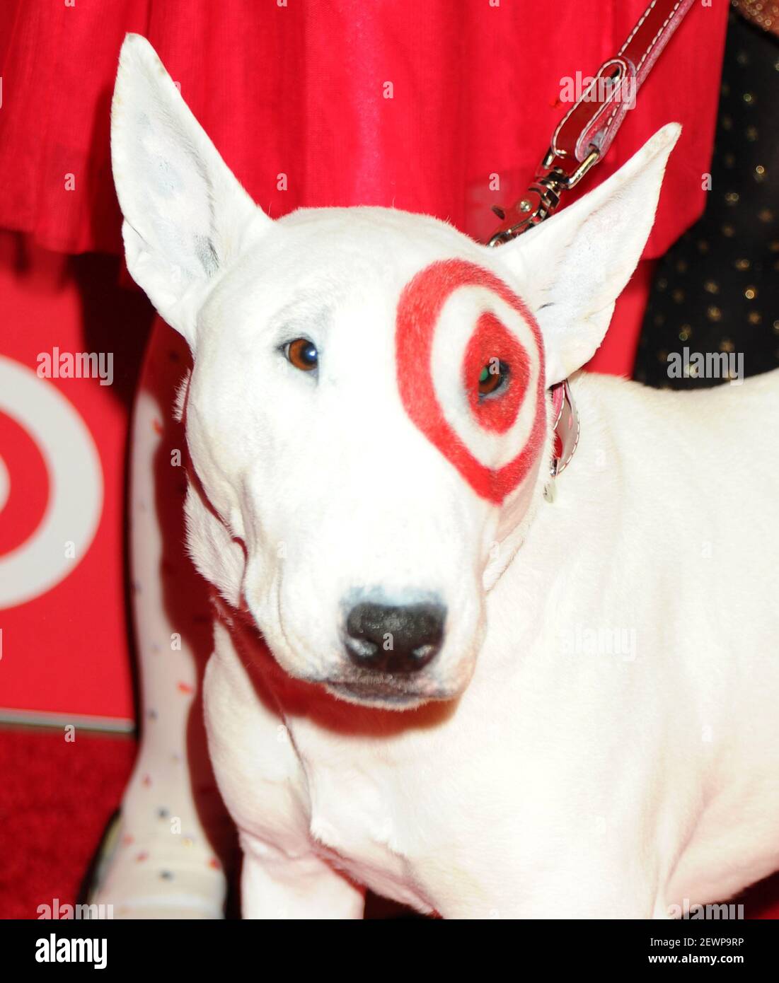 Bullseye the Target Dog attends the World Premiere of Target's ...