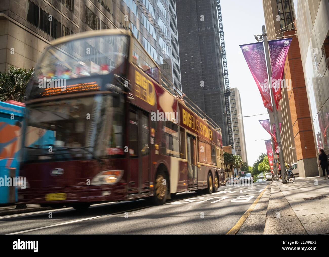 Sydney bus public transport hi-res stock photography and images - Alamy
