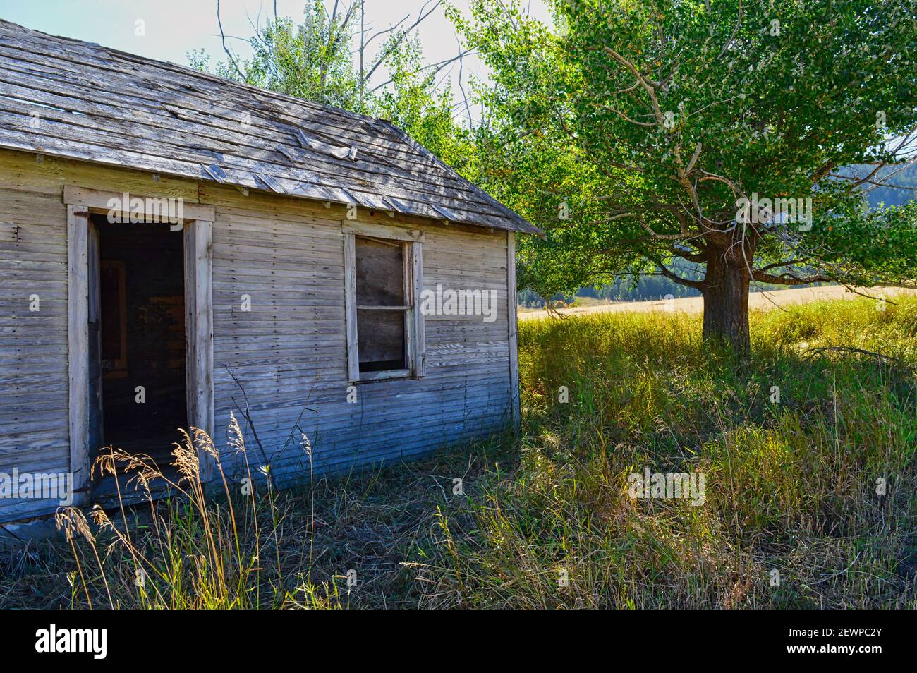 A rural house in a sunny landscape with treees Stock Photo - Alamy