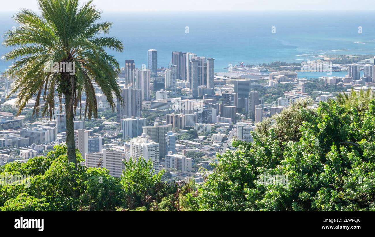 Coastal city view with palm in foreground and azure waters in ...