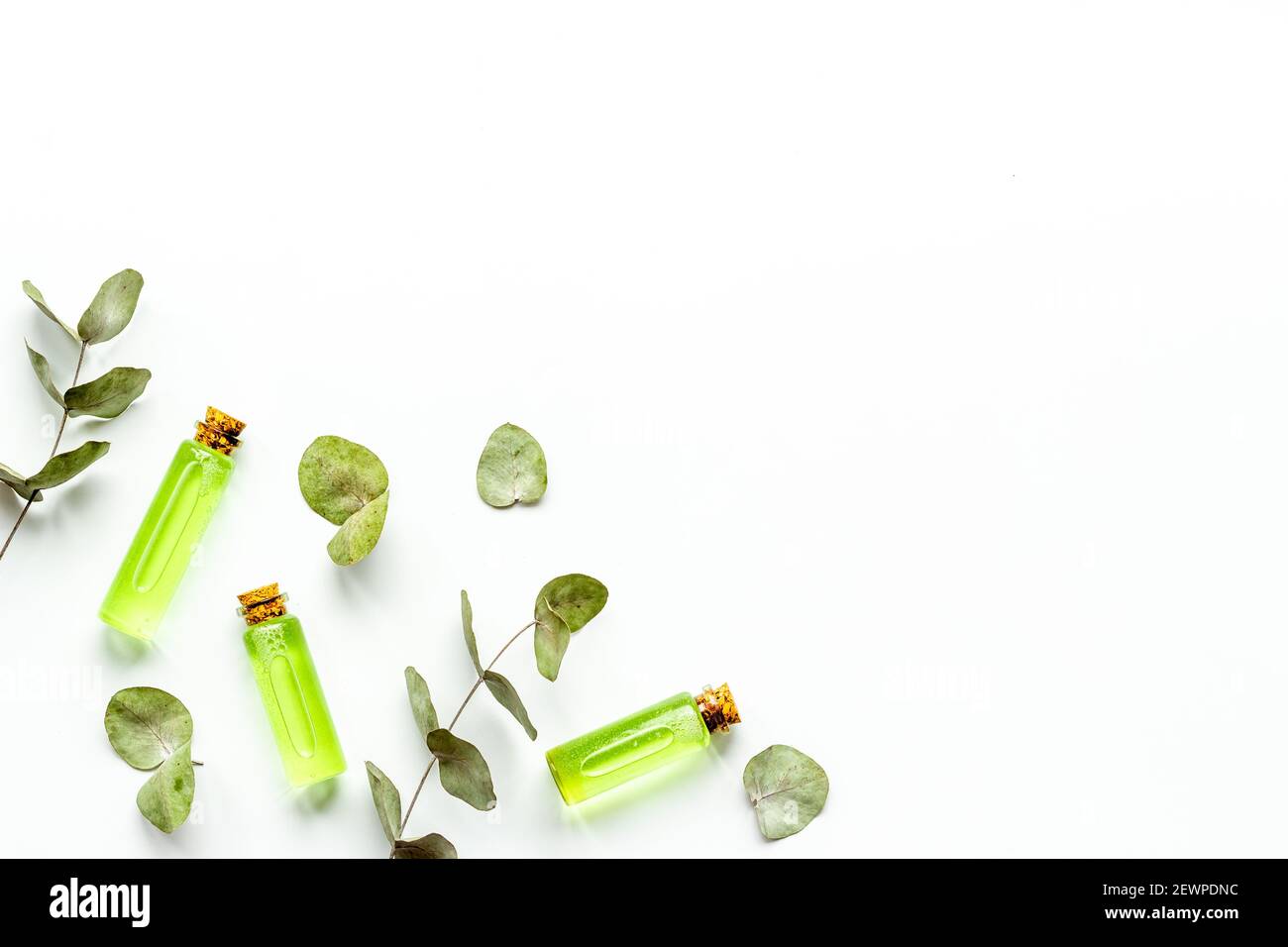 Glass bottles of herbal essential oil with eucalyptus leaves. Natural ...