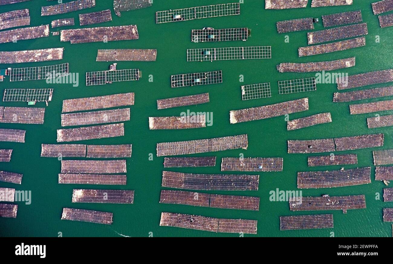 (161211) -- BEIJING, Dec. 11, 2016 (Xinhua) -- Photo taken on Dec. 7 ...