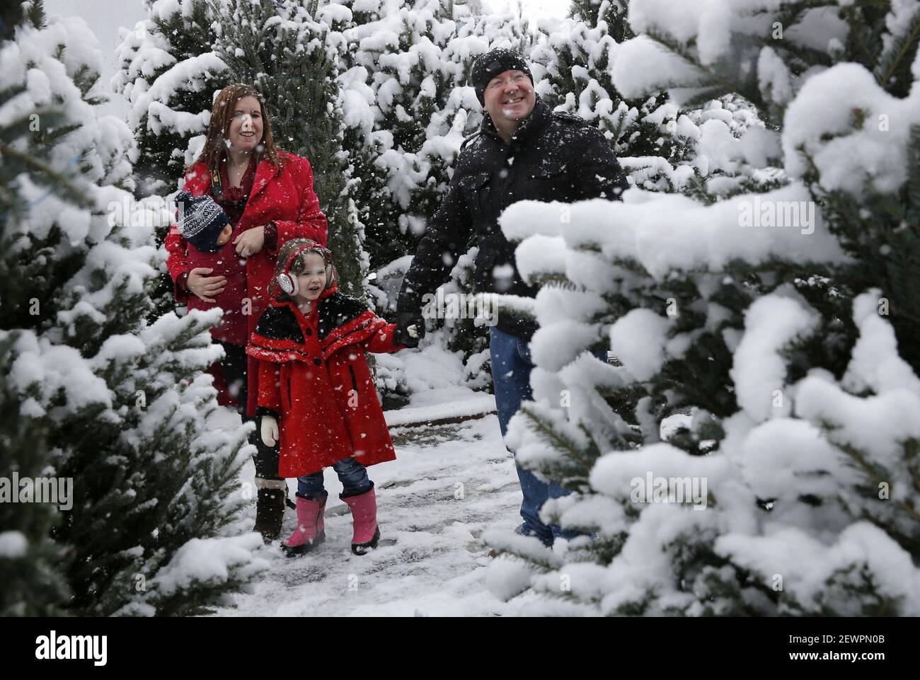 Jennifer tree hi-res stock photography and images - Alamy