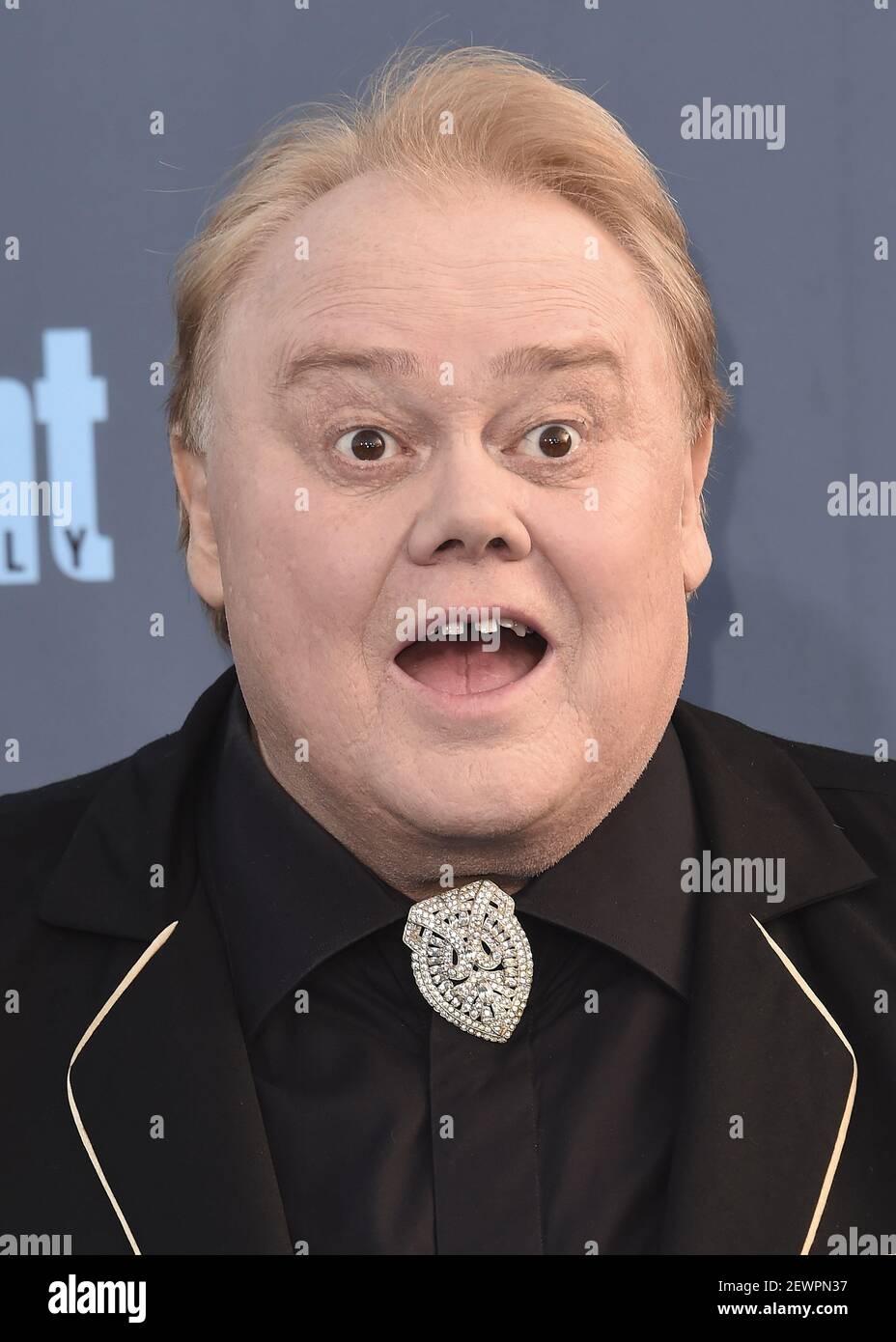 SANTA MONICA, CA - DECEMBER 11: Louis Anderson at the 22nd Annual ...