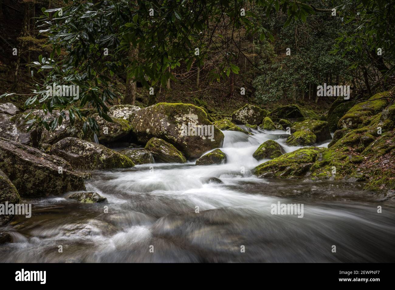 Akame 48 waterfall hi-res stock photography and images - Alamy