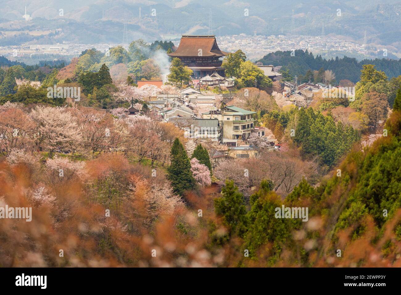 Beautiful cherry blossom season at Mount Yoshino Stock Photo - Alamy