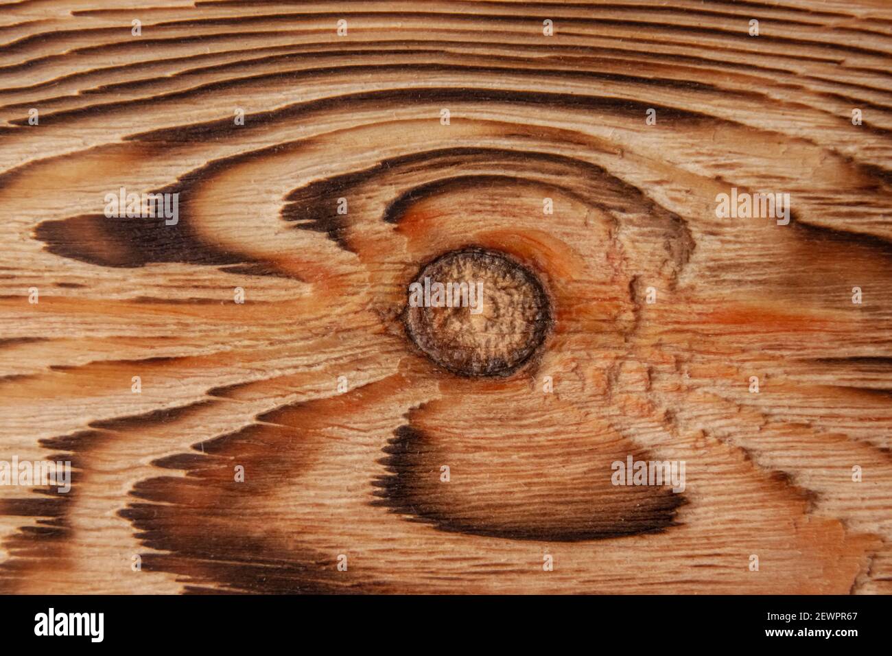 The texture of a pine board after firing and brushing with a knot in ...