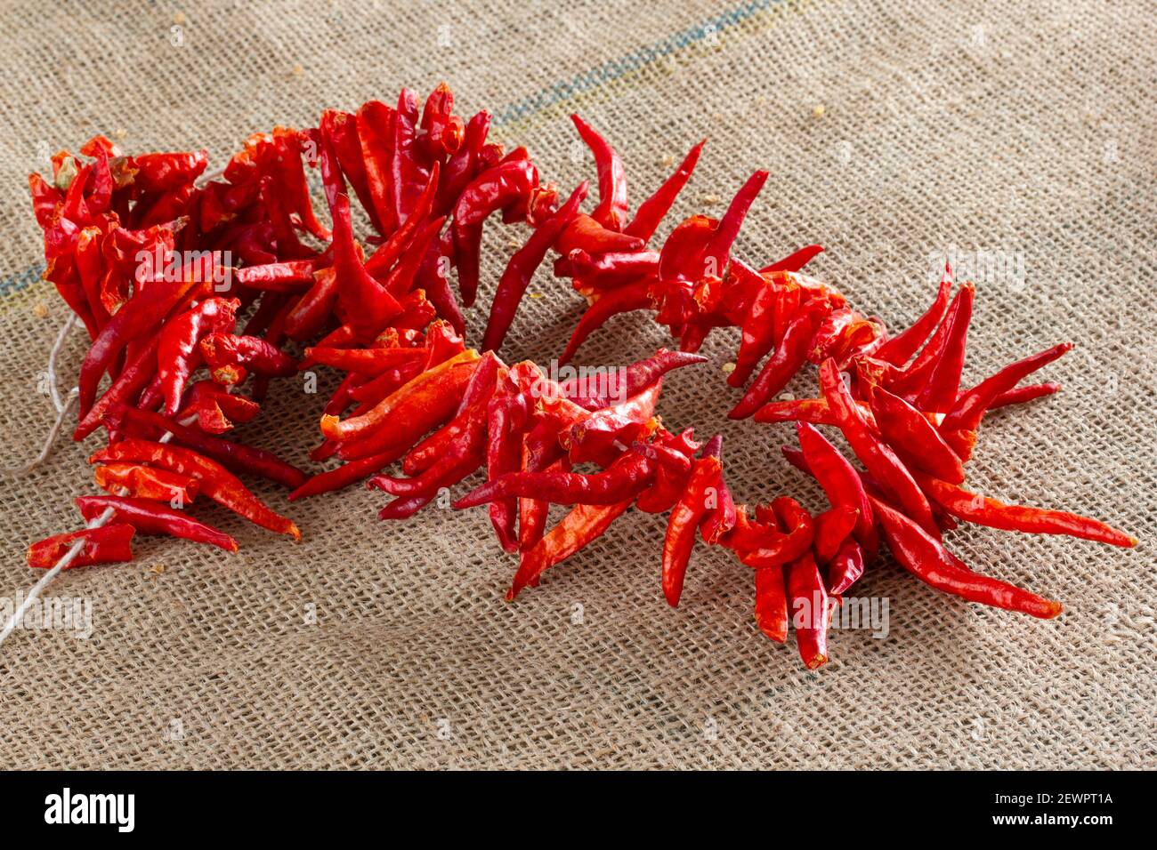 Red dried very hot peppers Stock Photo - Alamy