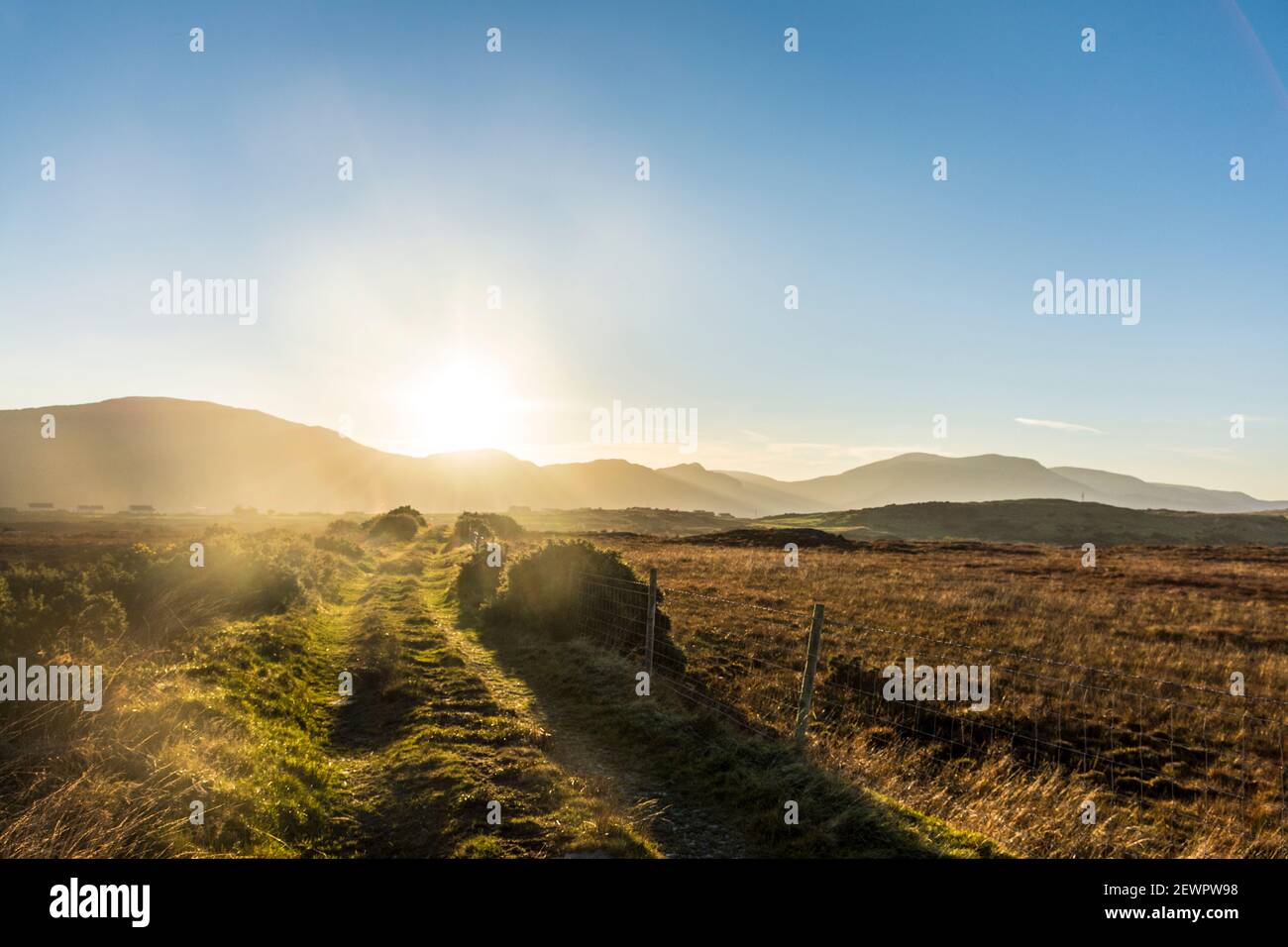 Peat bog donegal hi-res stock photography and images - Alamy