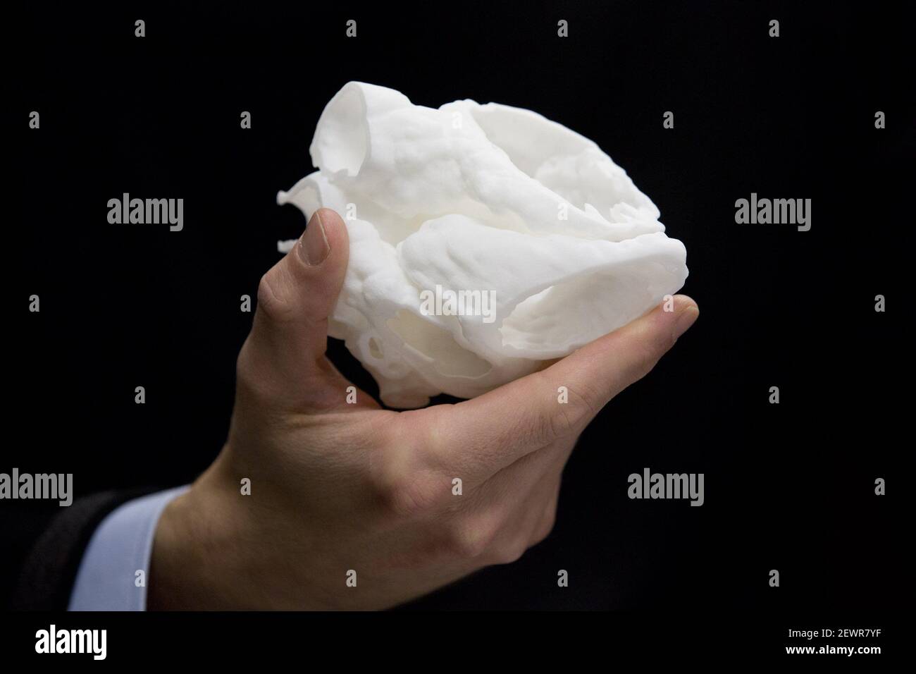 Dr. Steve Muyskens holds the 3D model of Ivy Chacon's heart. (Photo by ...