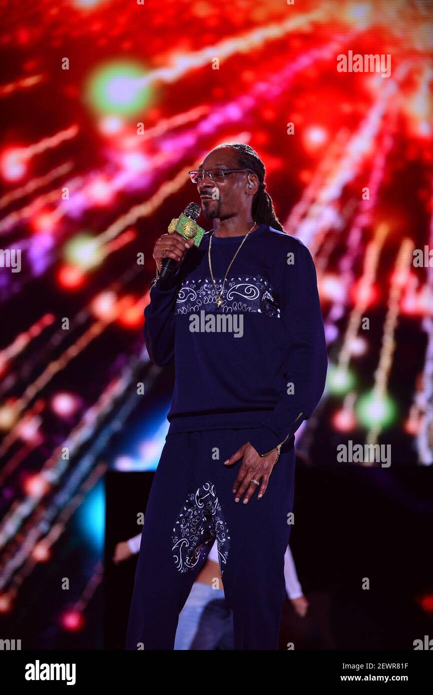 MIAMI, FL - DECEMBER 31: Snoop Dogg performs during Pitbull's New Year ...