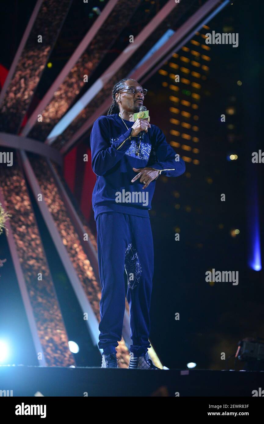 MIAMI, FL - DECEMBER 31: Snoop Dogg performs during Pitbull's New Year ...