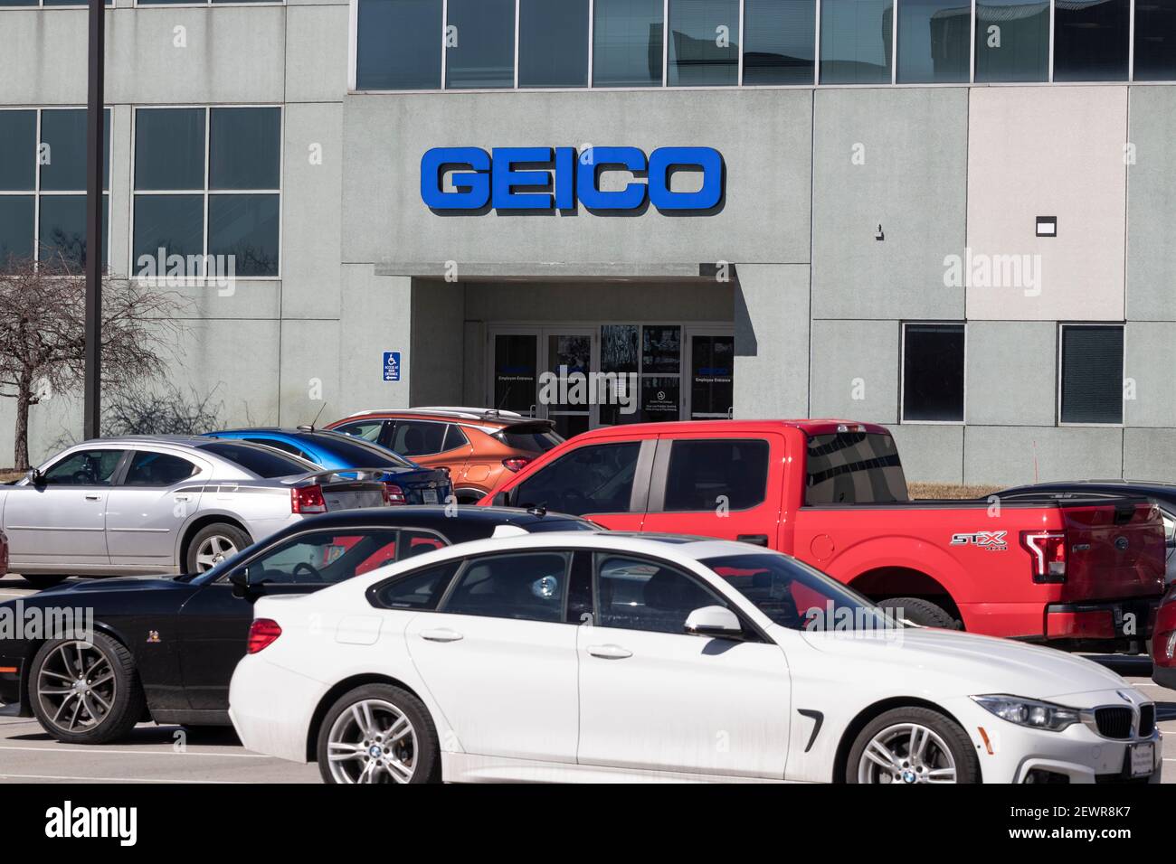 Geico gecko hi-res stock photography and images - Alamy