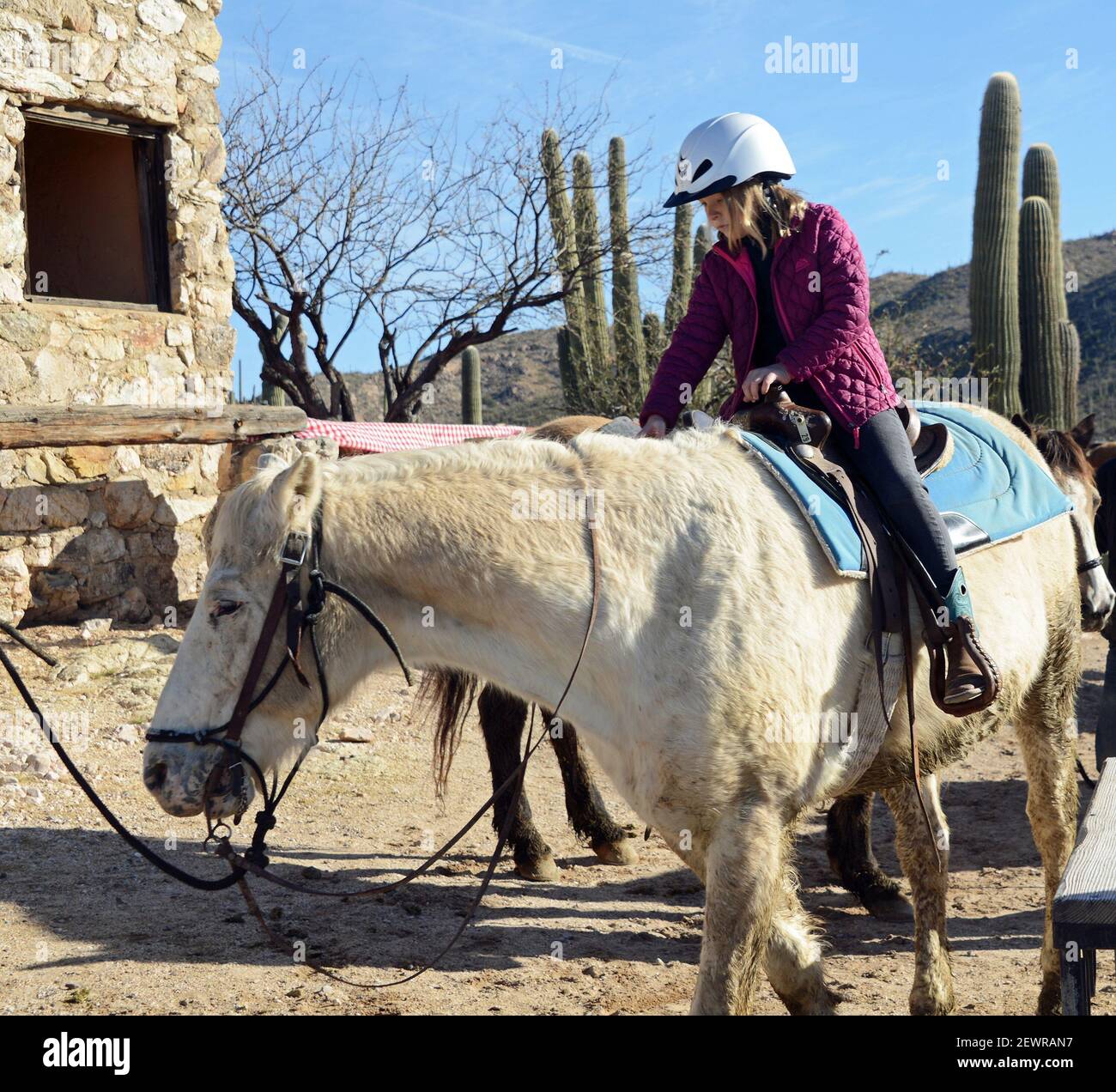 The writer's niece, Esme Charles, 8, gets comfortable in the saddle ...
