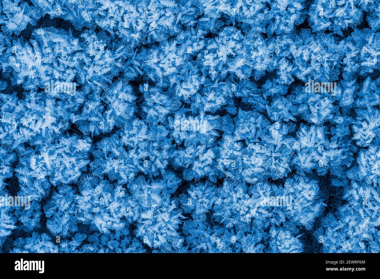 macro texture frost close up top view blue color Stock Photo - Alamy
