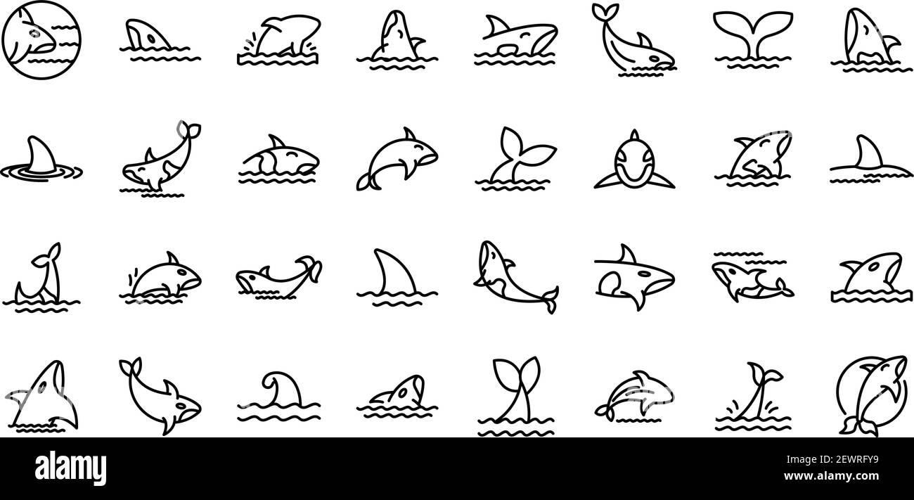Killer whale icons set. Outline set of killer whale vector icons for ... Killer whale icons set. Outline set of killer whale vector icons for ...
