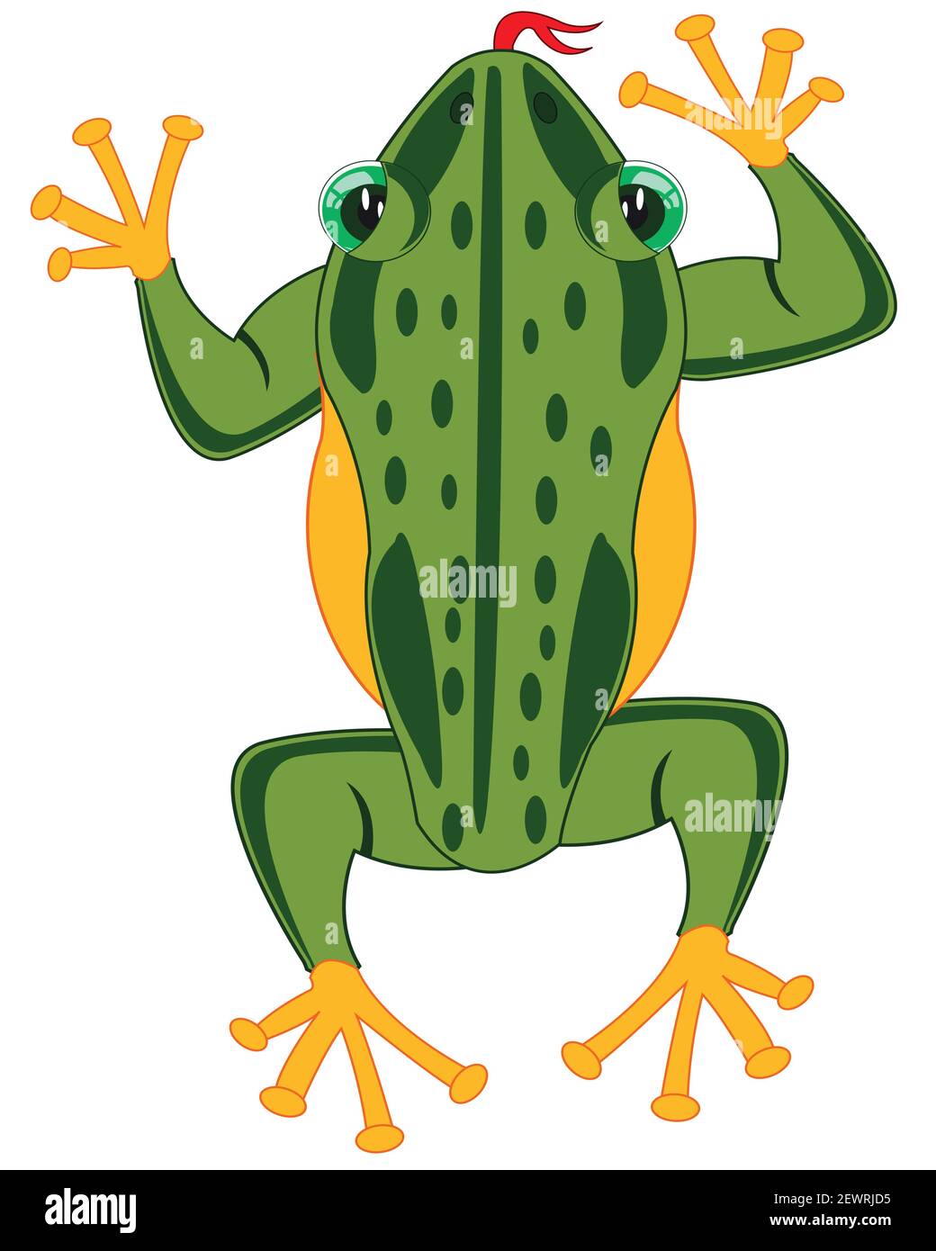 Amphibious vector vectors hi-res stock photography and images - Alamy