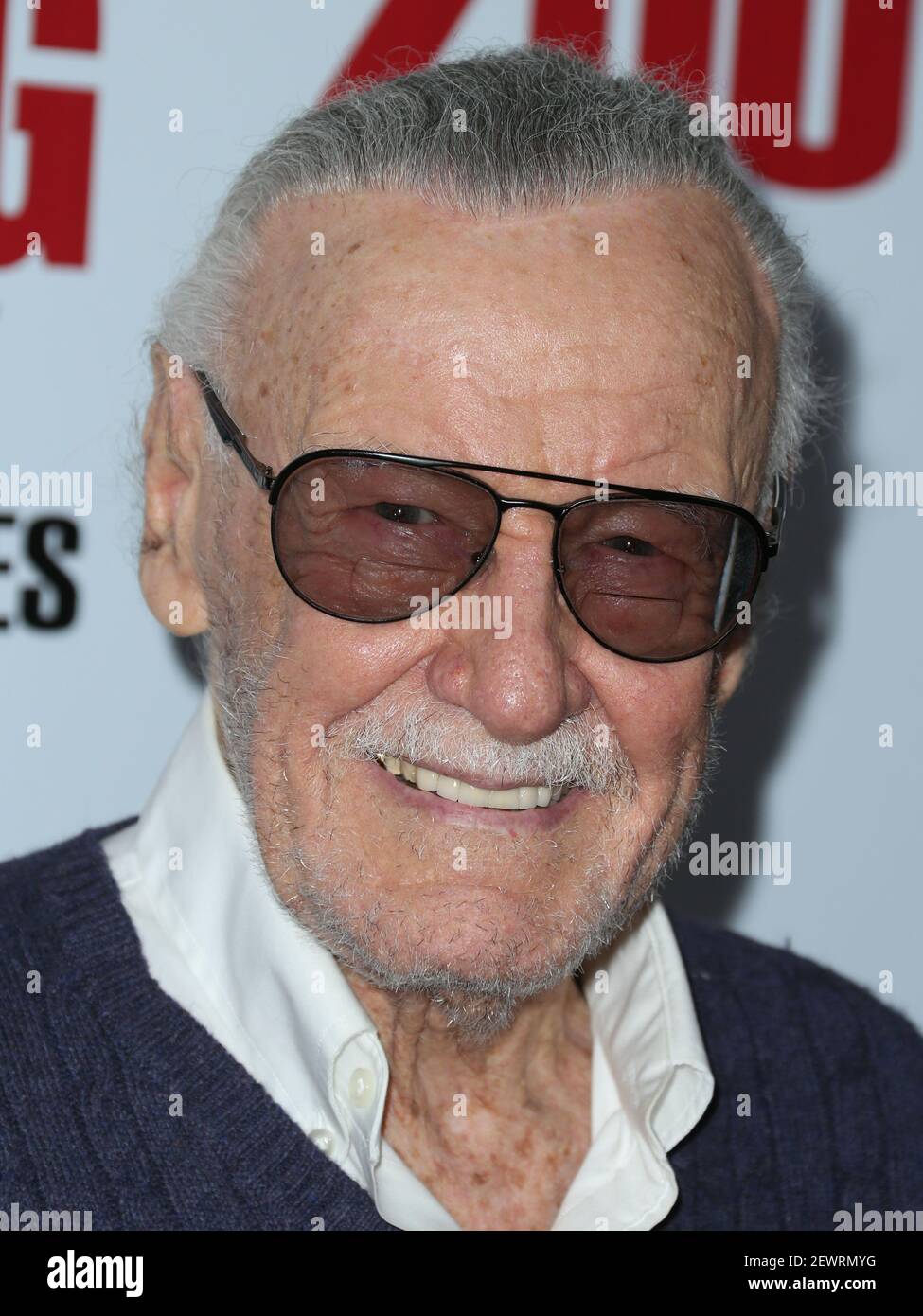 (FILE) Stan Lee Dies At 95. Stan Lee, the legendary writer, editor and ...