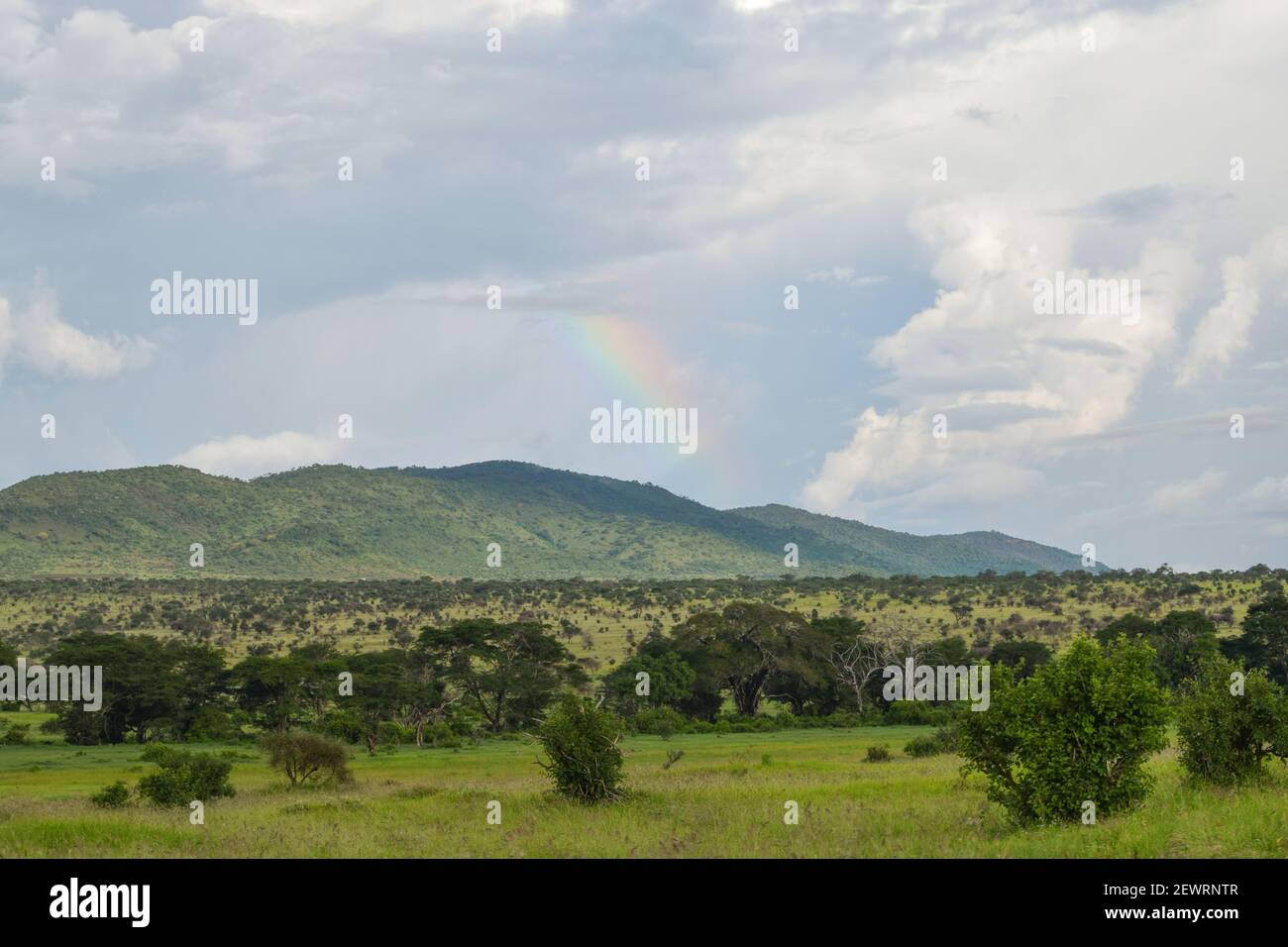 East african plateau kenya hi-res stock photography and images - Alamy