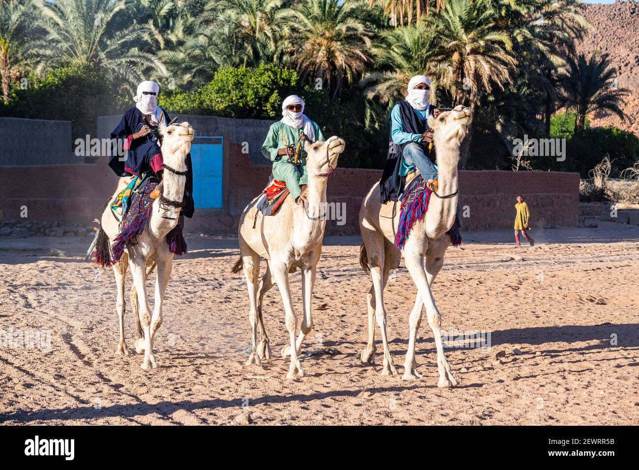 Traditional dressed Tuaregs on their camels, Oasis of Timia, Air ...