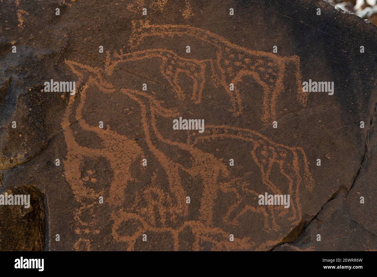 Prehistoric rock carvings, Arakao, Tenere Desert, Sahara, Niger, Africa ...