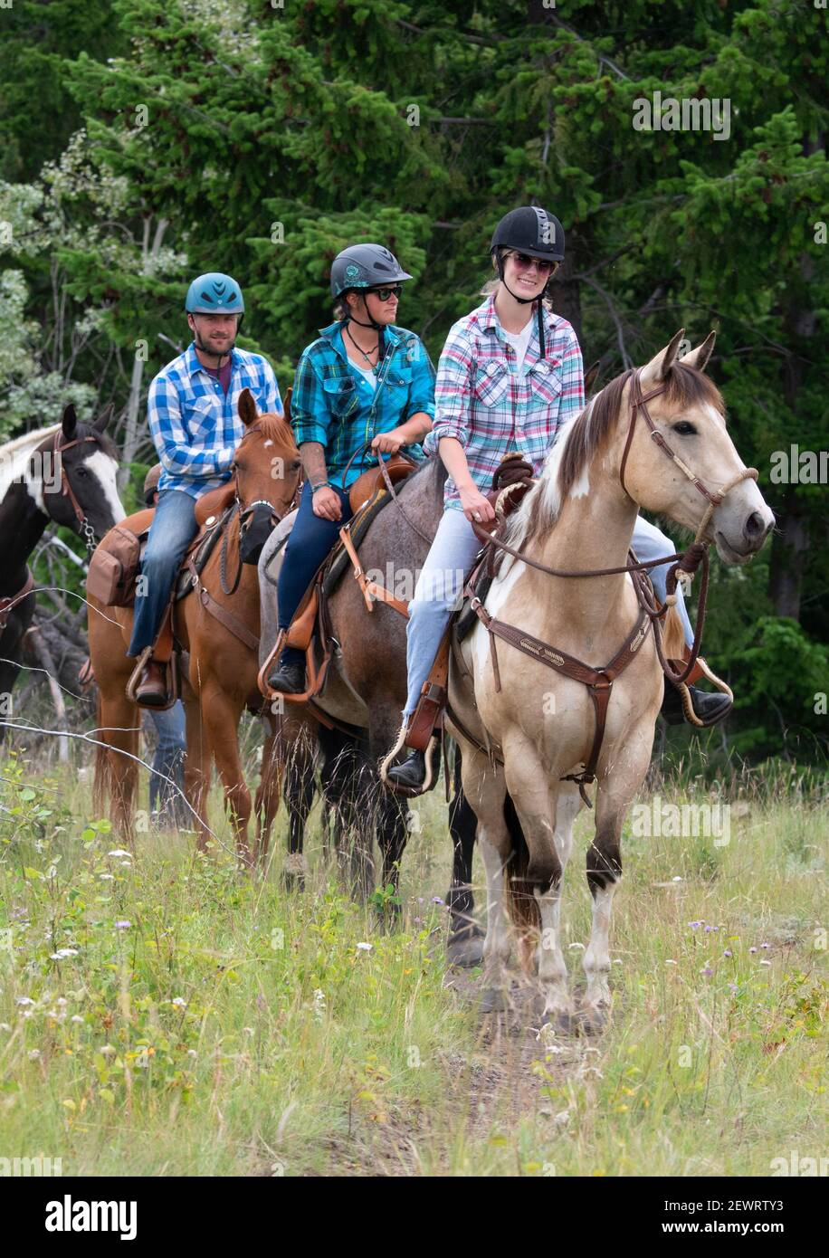 Adult male riders hi-res stock photography and images - Alamy