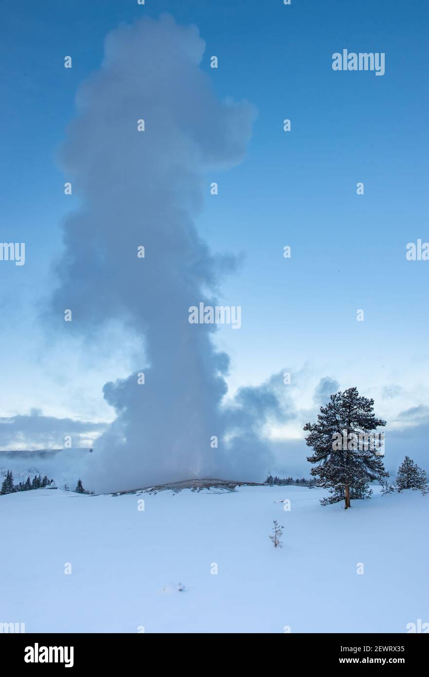 Geyser yellowstone snow hi-res stock photography and images - Alamy