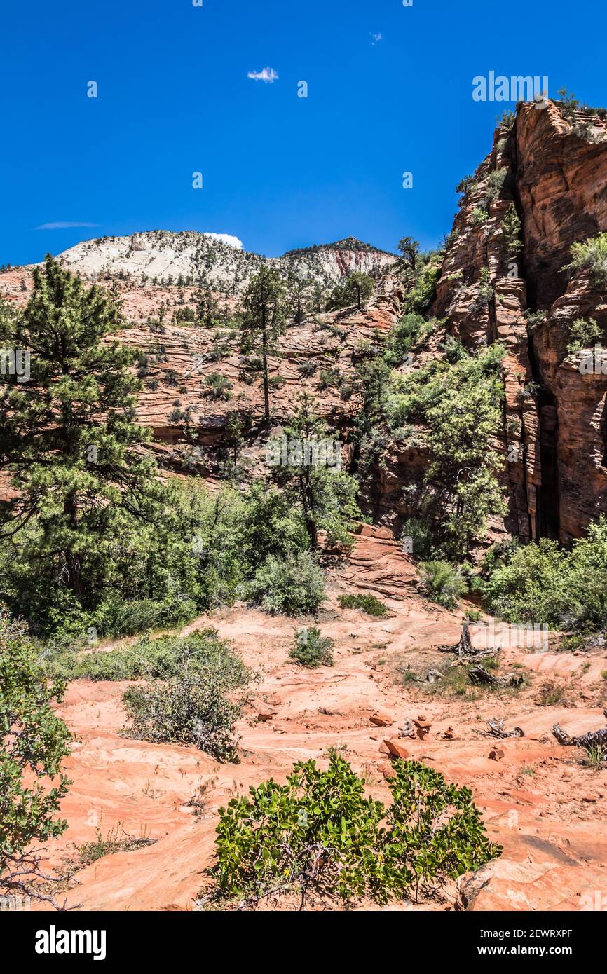 Zion National Park in Utah Stock Photo - Alamy