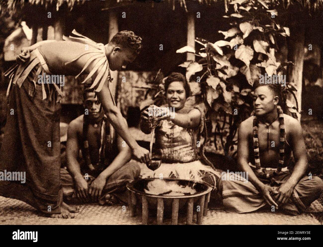 Kava ('ava) makers (aumaga) of Samoa Stock Photo - Alamy