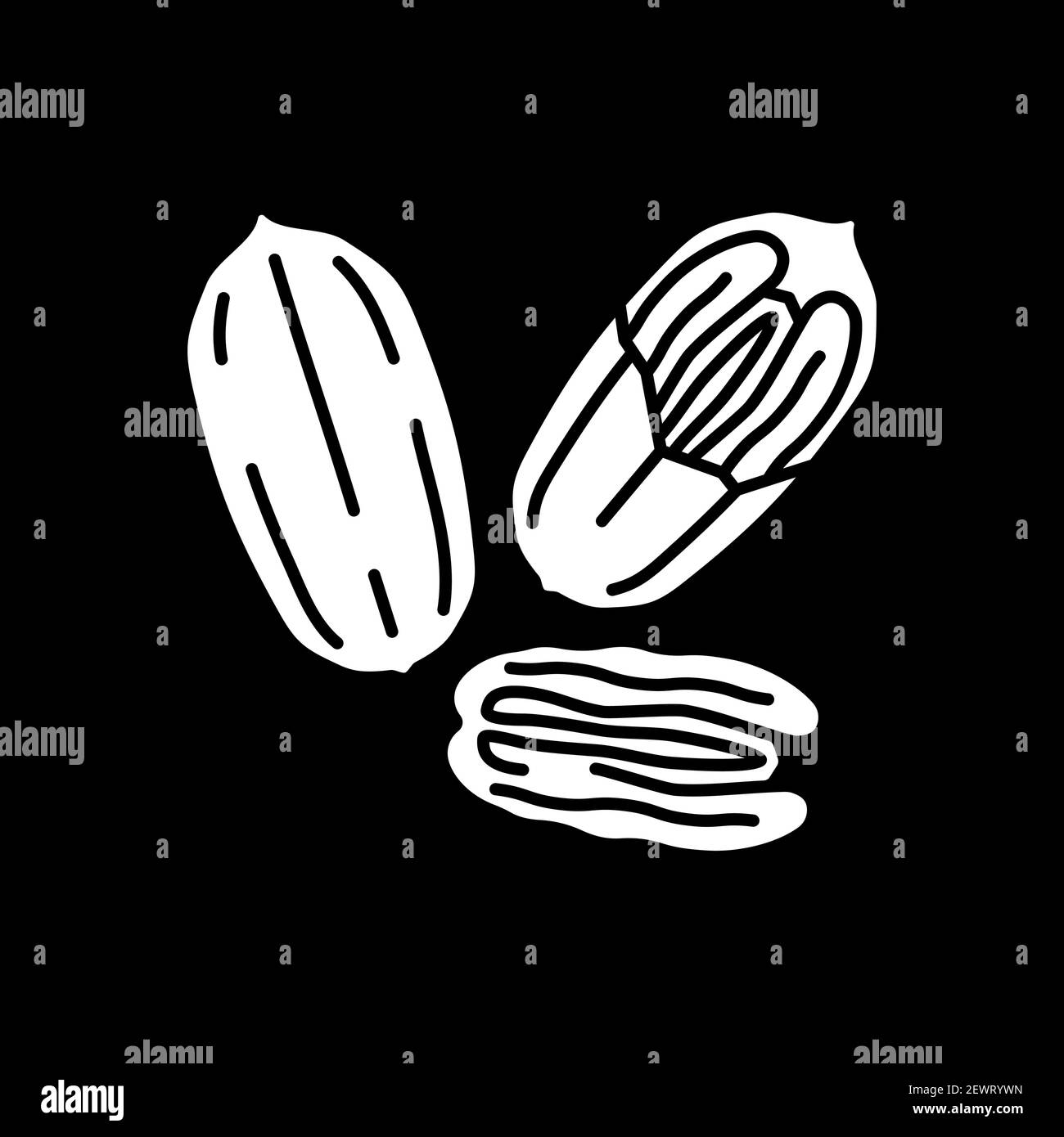 Pecan nuts dark mode glyph icon Stock Vector Image & Art - Alamy