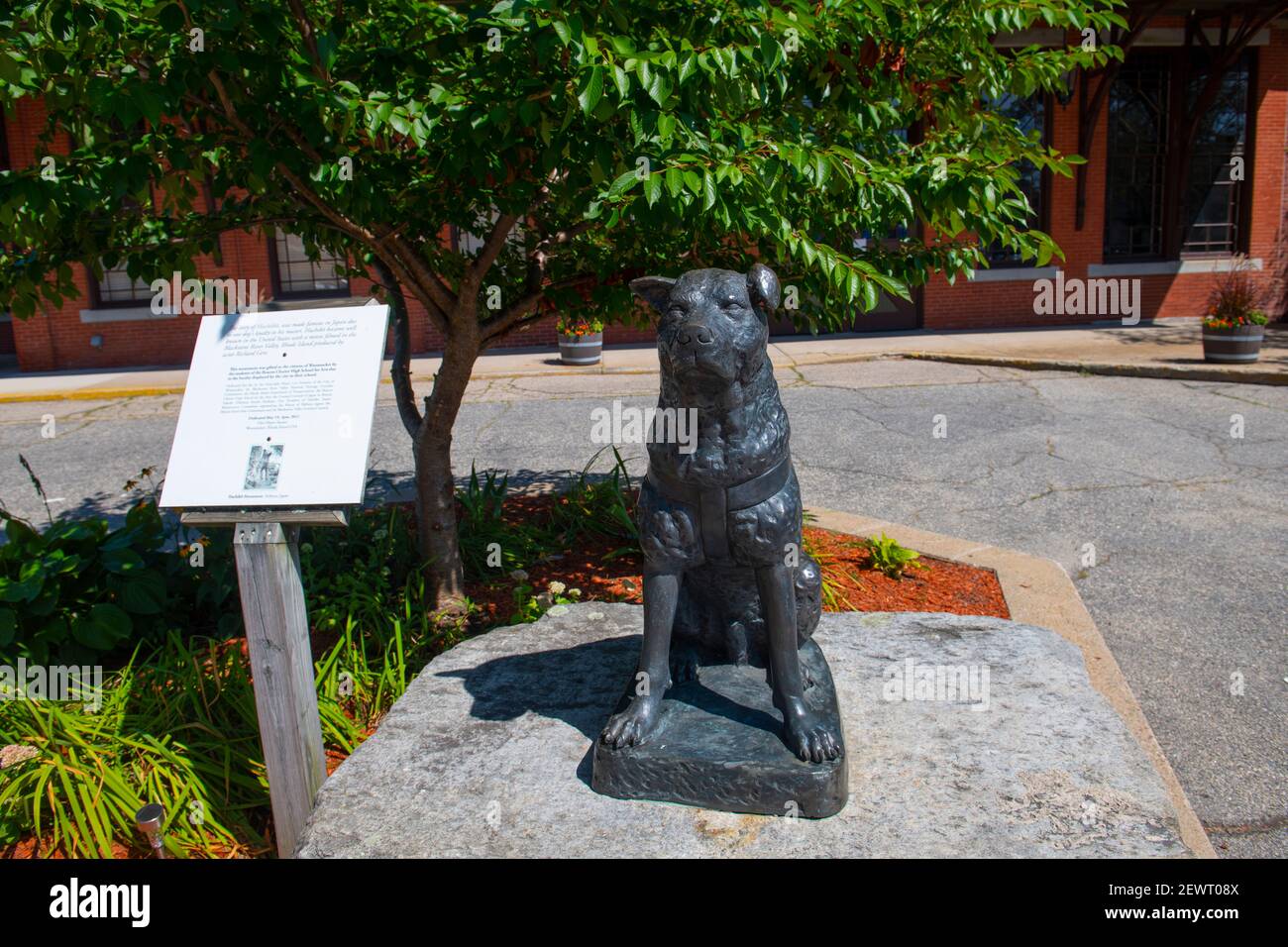 Hachiko statue hi-res stock photography and images - Alamy