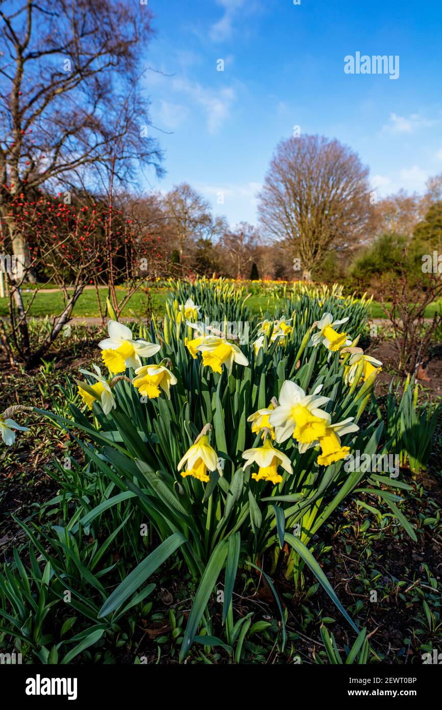 Hyde park london spring flowers hi-res stock photography and images - Alamy