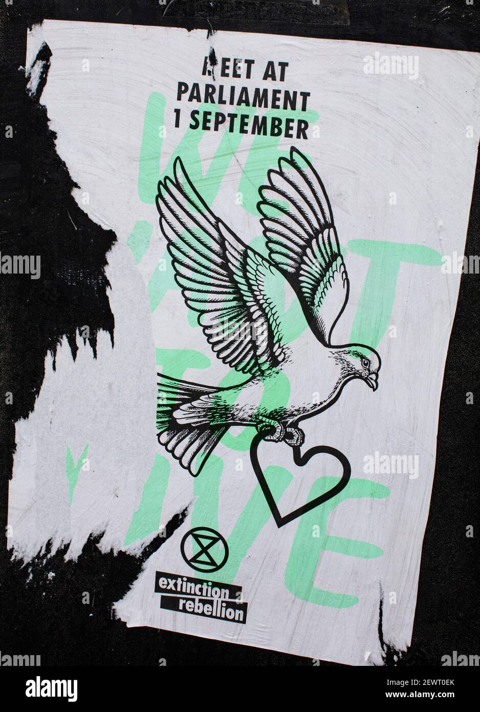 Extinction Rebellion flyer; protest movement raising awareness by ...