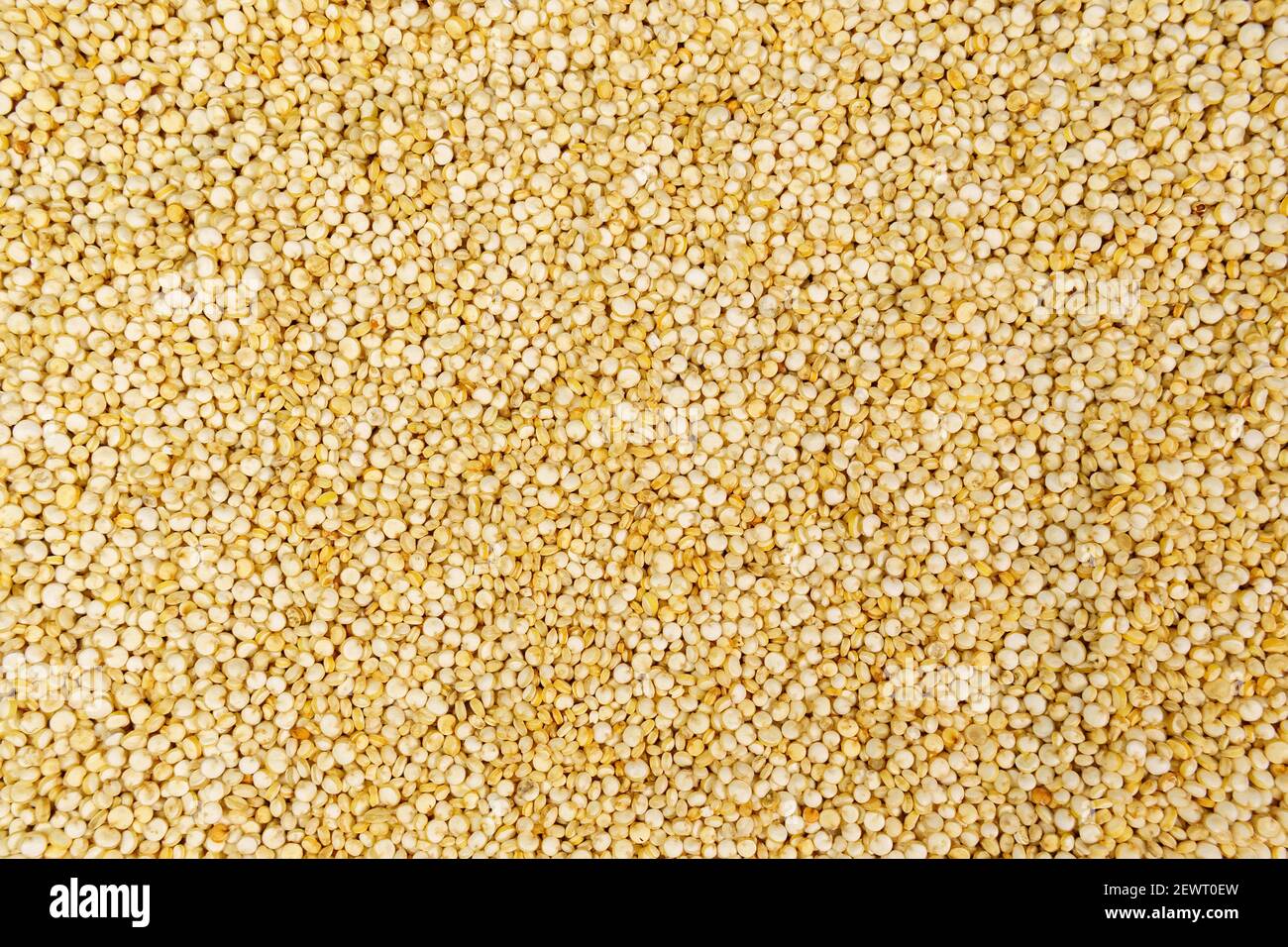 white quinoa seeds, Healthy food habits and concept of balanced diet ...