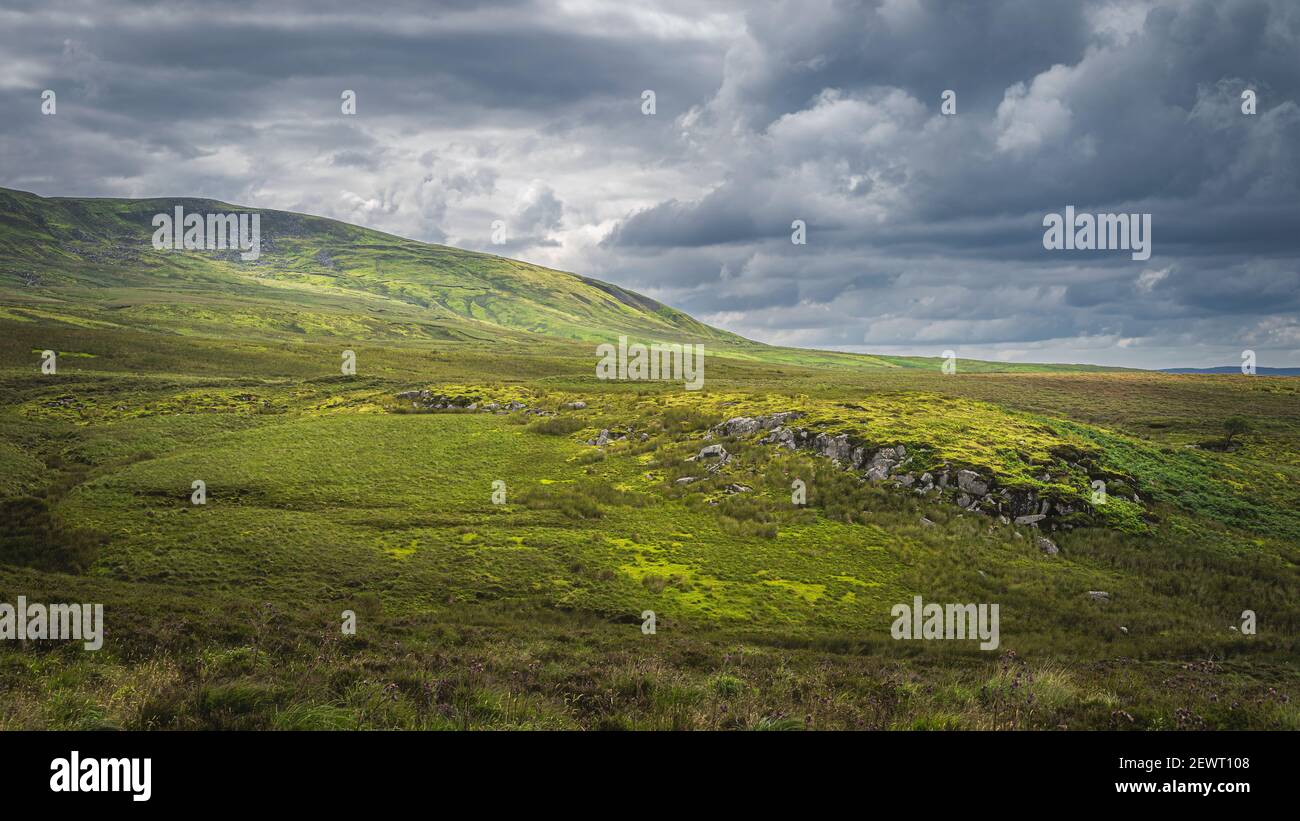 Green Fields Of Ireland High Resolution Stock Photography and Images ...