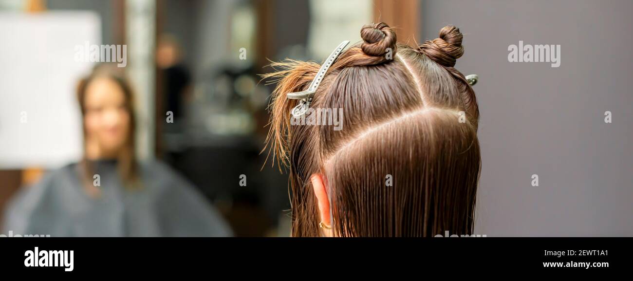 Back view of young brunette woman with split hair in sections in a hair ...
