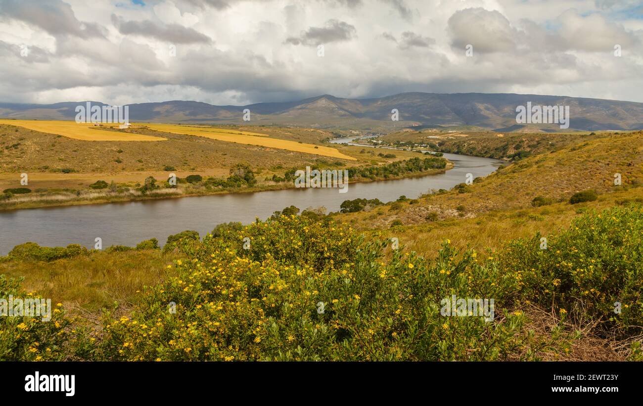 The Breede river winding through coastal bush at Malgas, Western Cape ...