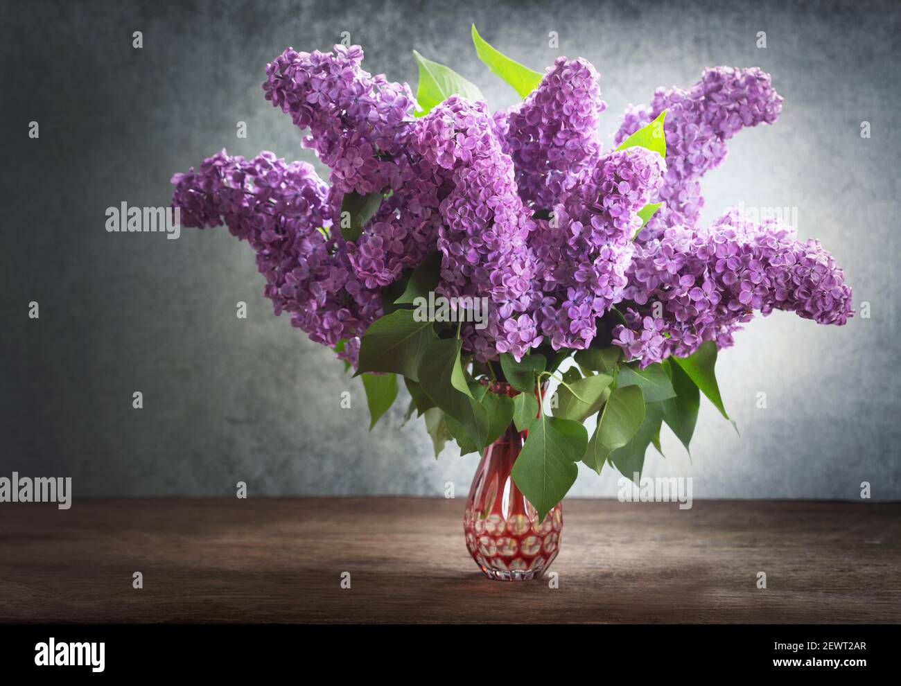 still life with blooming branches of purple lilac flowers Stock Photo ...