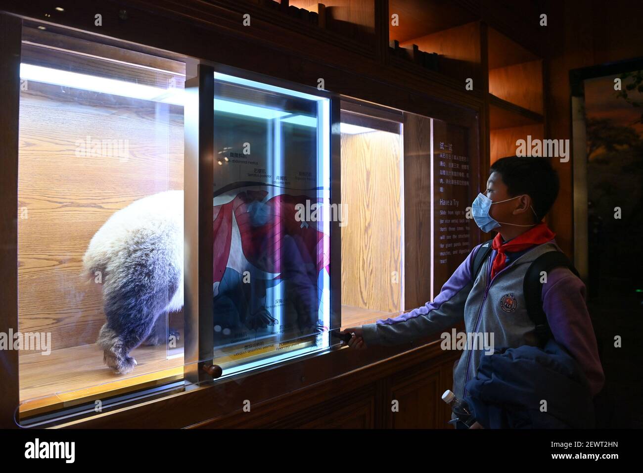 CHENGDU, March 3, 2021 (Xinhua) -- A student watches an exhibit at the ...
