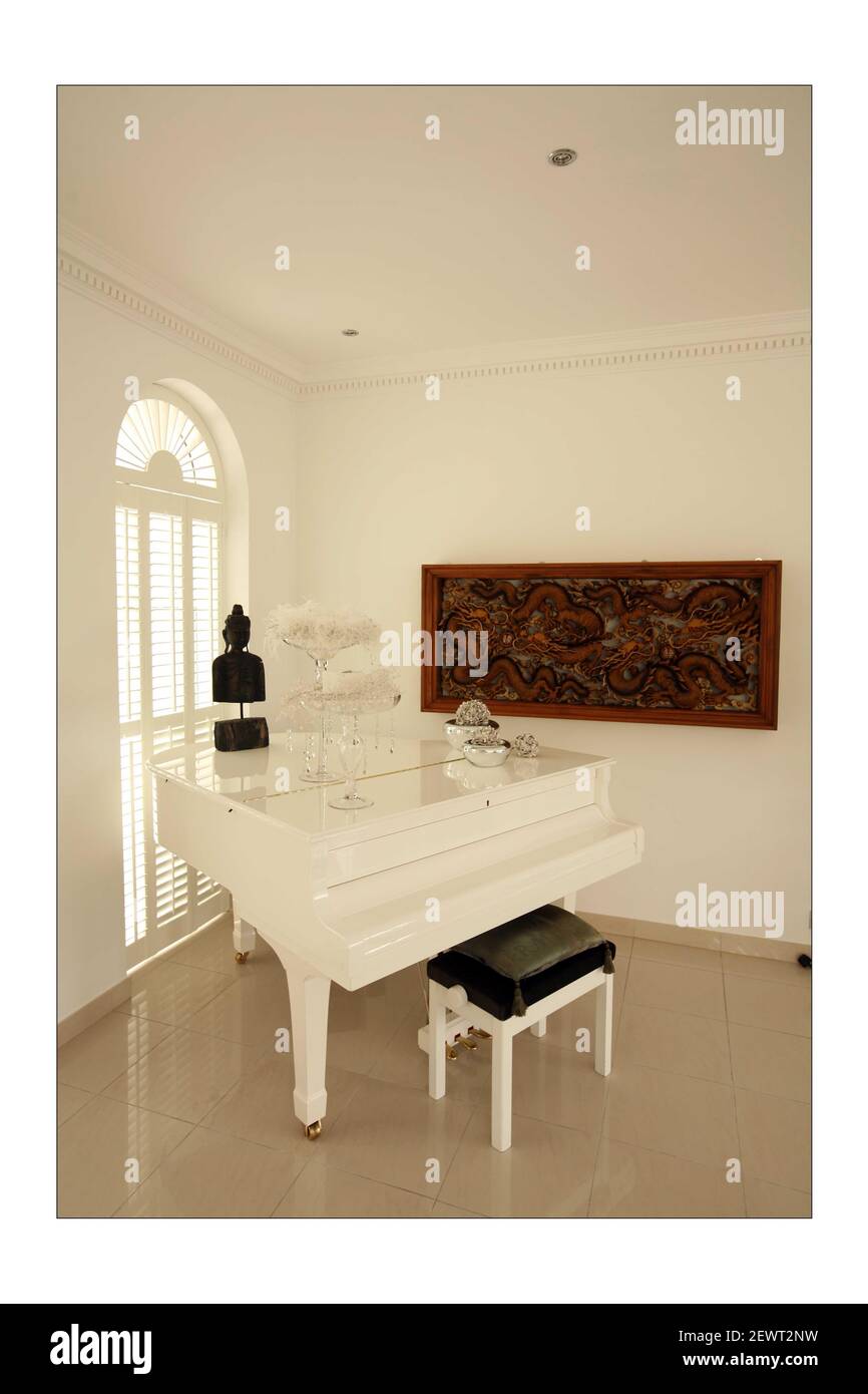 Sina Capaldo in her home in Hertfordshire. photograph by David Sandison ...