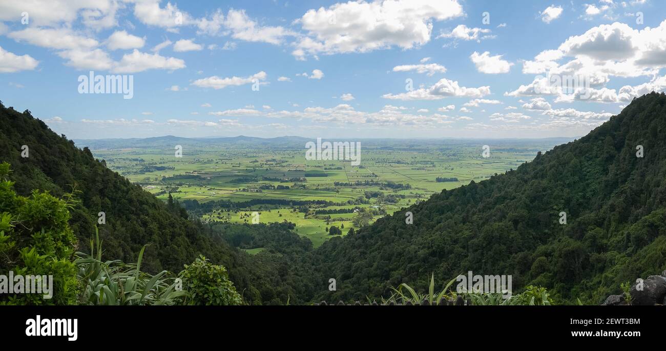 Waikato region new zealand hi-res stock photography and images - Alamy