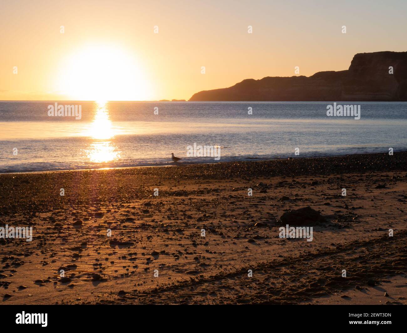 Beautiful beach sunrise shot during coastal hike,Cape Kidnappers ...
