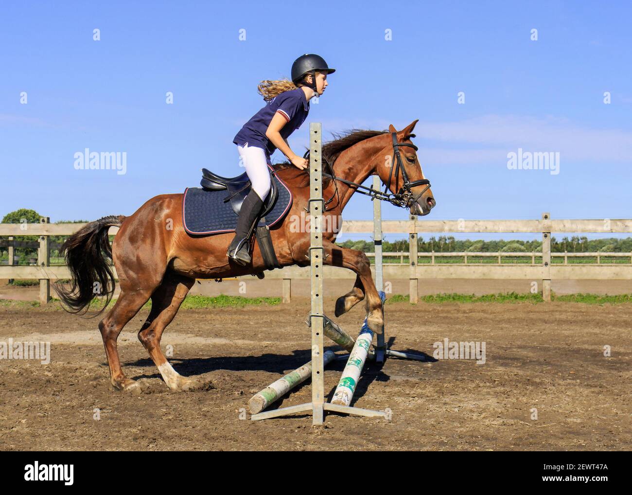 Professional horse competition hi-res stock photography and images - Alamy