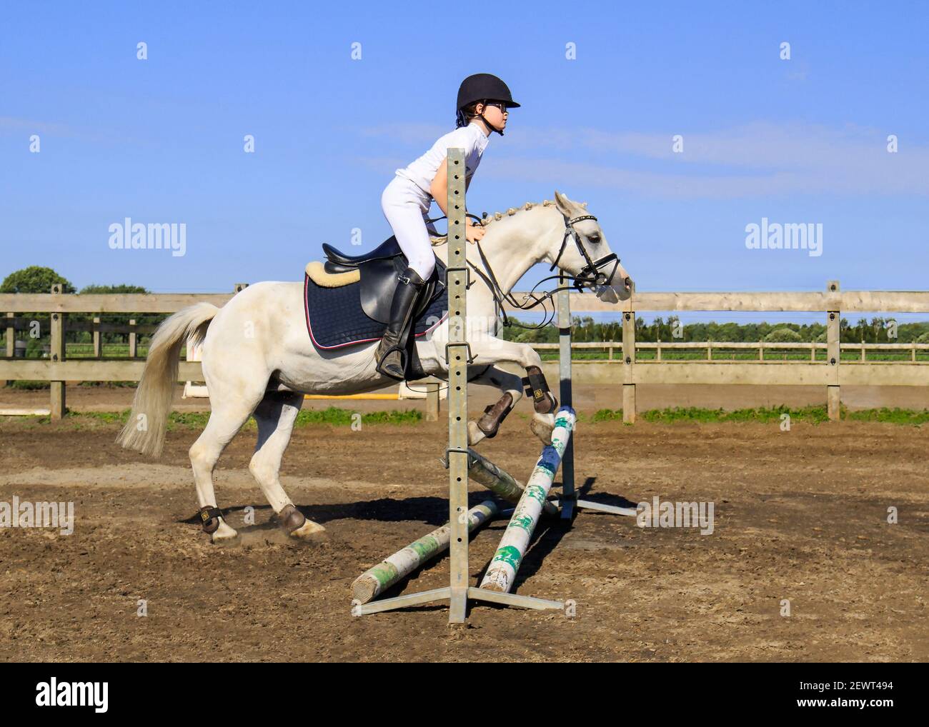 Beautiful girl riding white horse hi-res stock photography and images ...