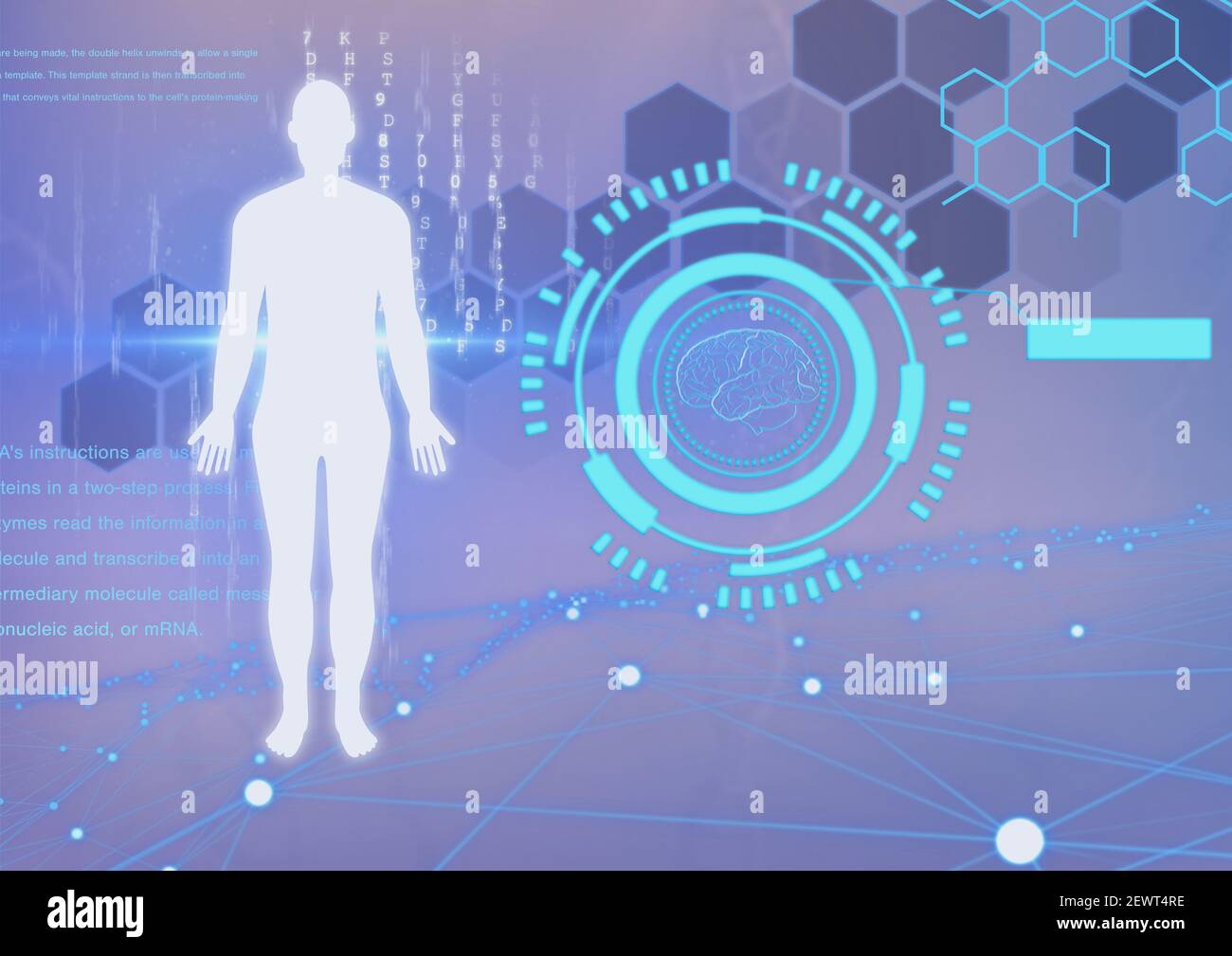 Scientific data processing with human body and scope scanning on purple ...