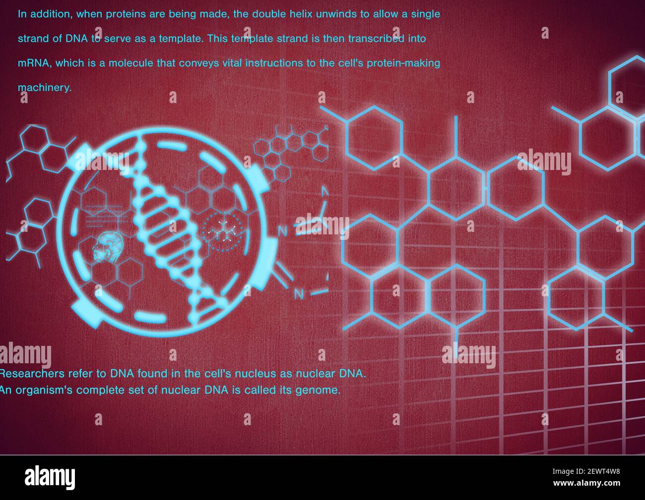 Scientific data processing with dna strand and scope scanning on red ...