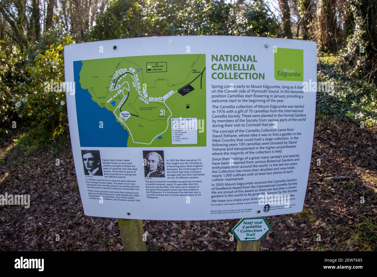 Mount Edgecombe Country Park Stock Photo - Alamy