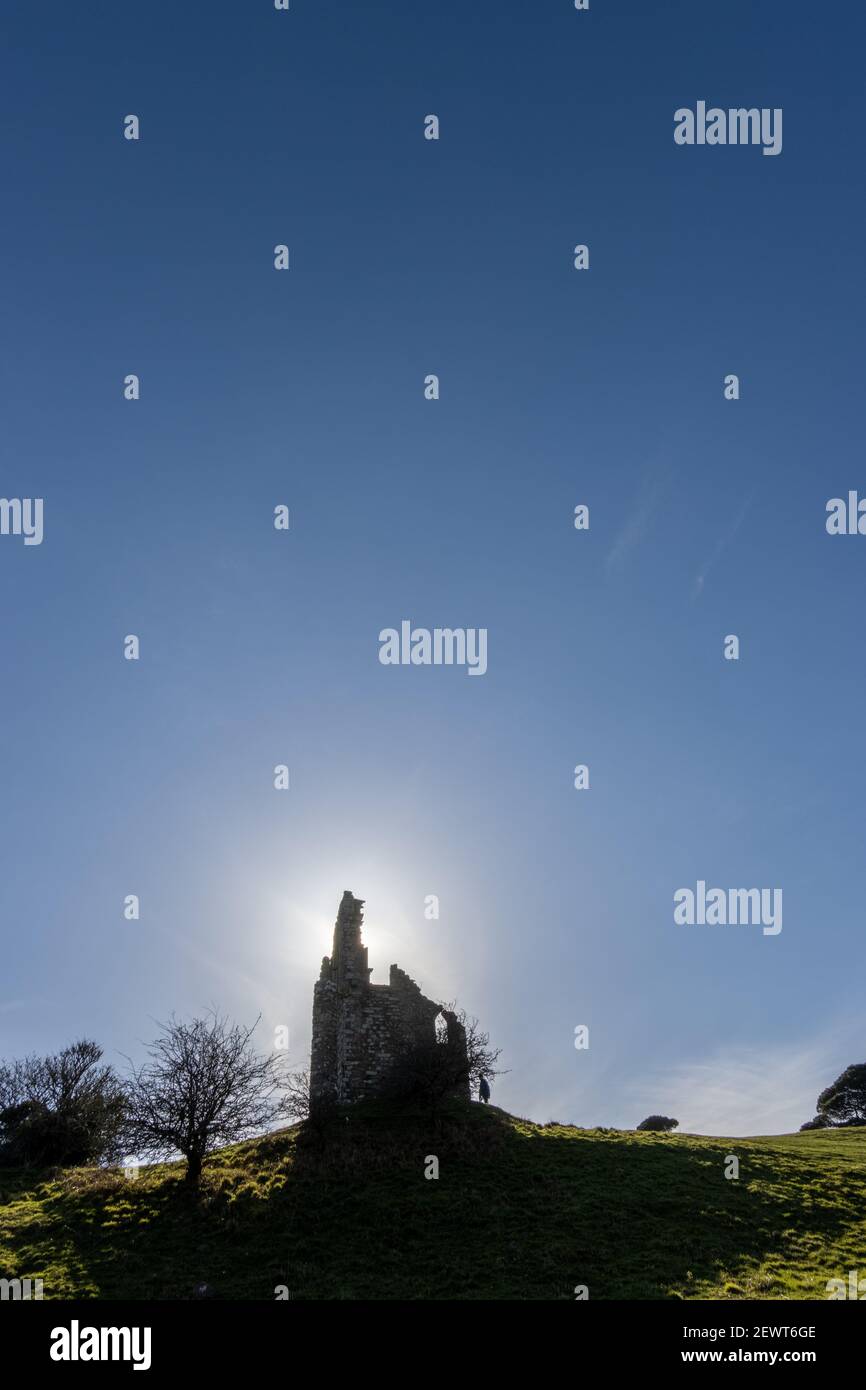 Mount Edgecombe Country Park Stock Photo - Alamy